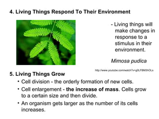living things & cell theory | PPT