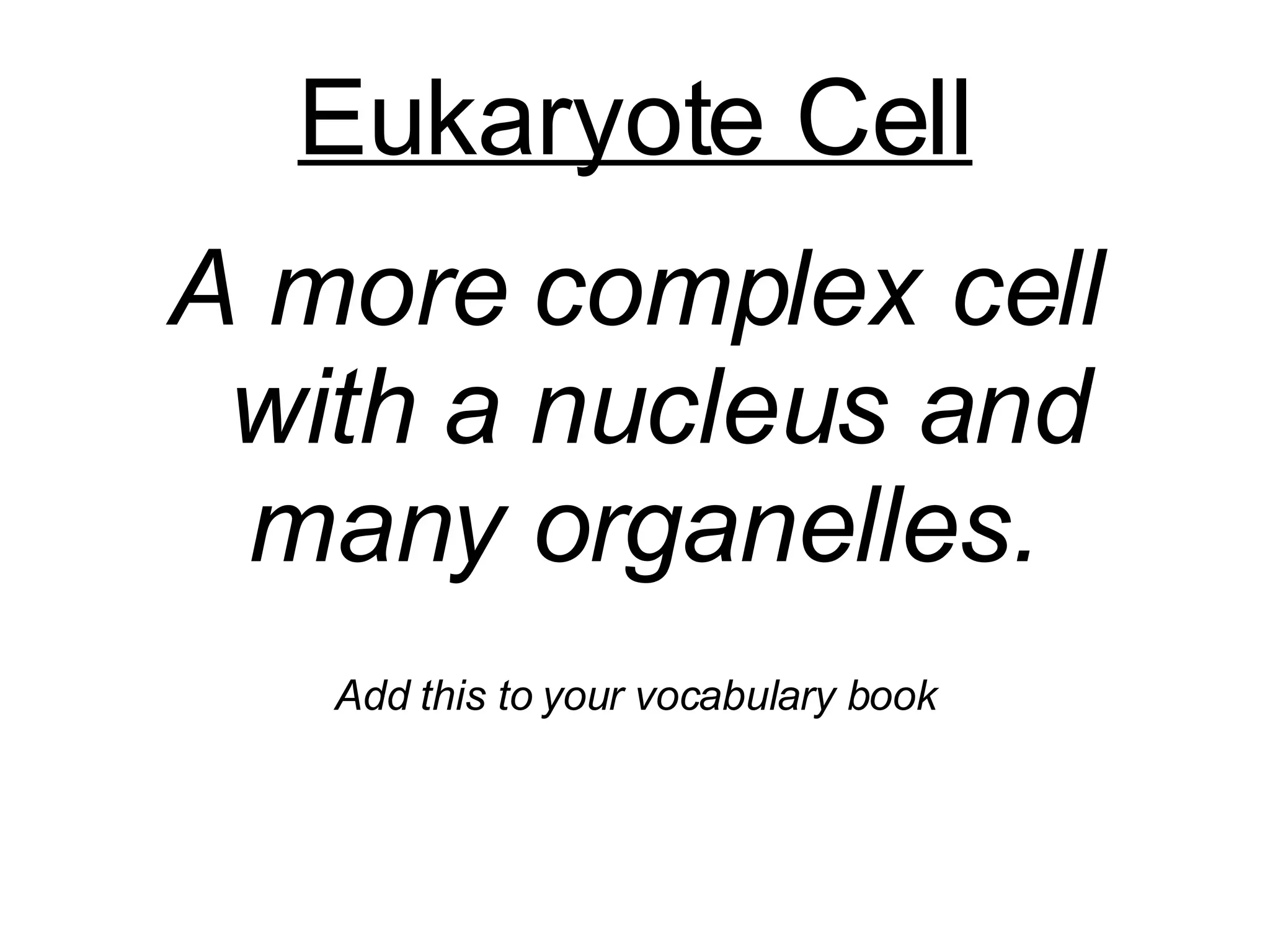 Two Types Of Cells - Eukaryotic and Prokaryotic Cells | PPT
