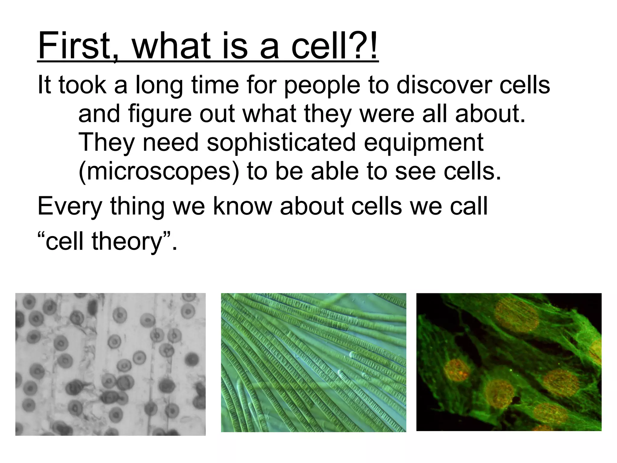 Two Types Of Cells - Eukaryotic and Prokaryotic Cells | PPT