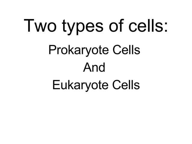 Two Types Of Cells - Eukaryotic and Prokaryotic Cells | PPT ...