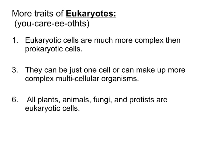 Two Types Of Cells - Eukaryotic and Prokaryotic Cells | PPT ...