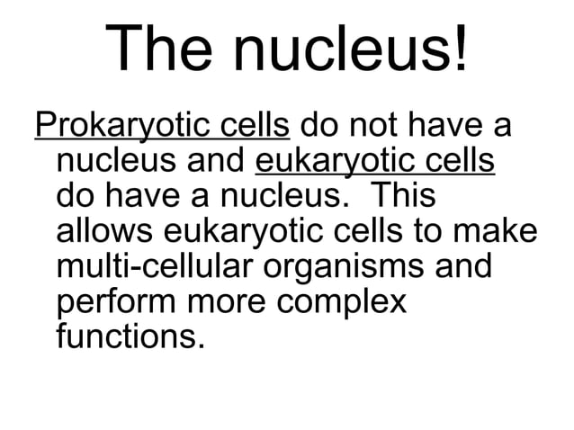 Two Types Of Cells - Eukaryotic and Prokaryotic Cells | PPT ...