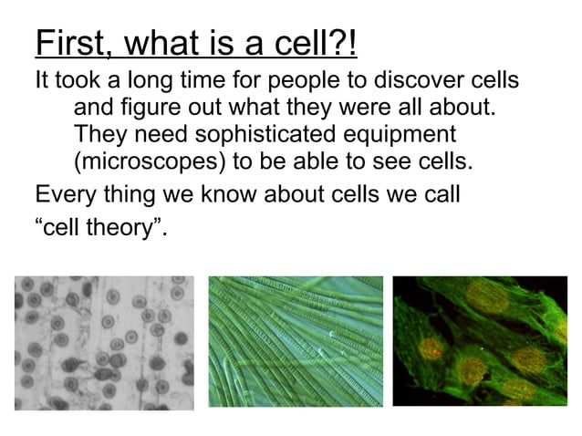 Two Types Of Cells - Eukaryotic and Prokaryotic Cells | PPT ...