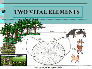 Two Vital Elements | PPT