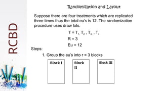 two way classification design (CRD).pptx | Gardening | Home & Garden
