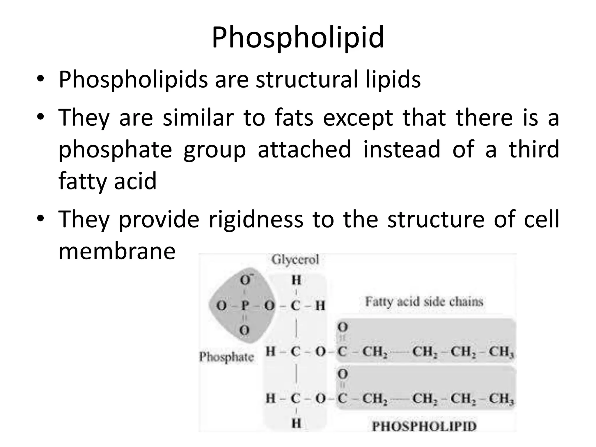 Two carbon units and lipids.pptx