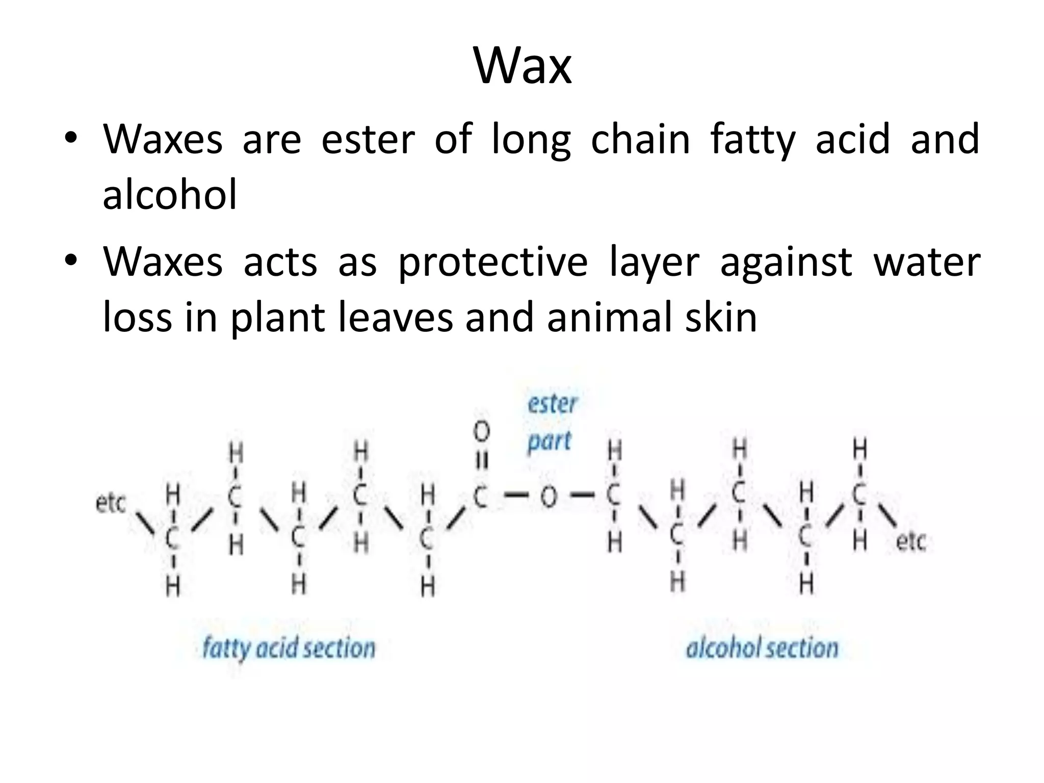 Two carbon units and lipids.pptx