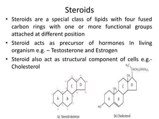 Two carbon units and lipids.pptx
