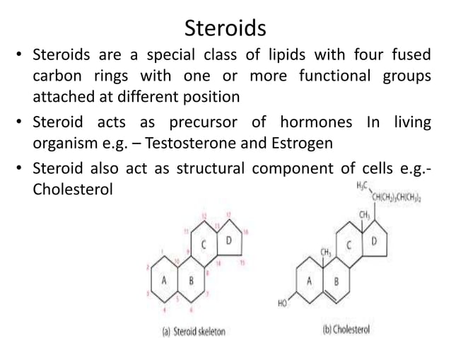 Two carbon units and lipids.pptx