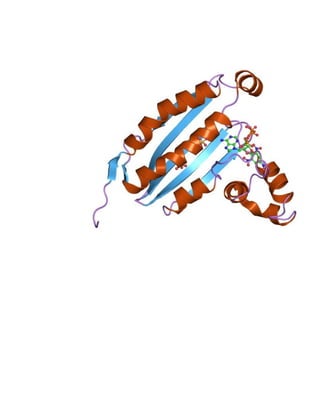 Two component regulatory system | RTF
