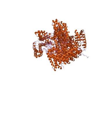 Two component regulatory system | PDF