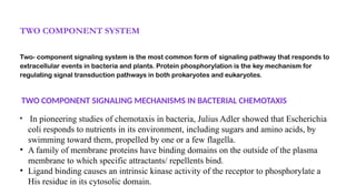 Two component signaling system in plants and bacteria | PPTX
