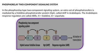 Two component signaling system in plants and bacteria | PPTX