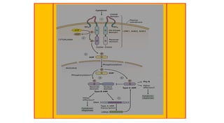 Two component signaling system in plants and bacteria | PPTX