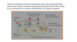 Two component signaling system in plants and bacteria | PPTX