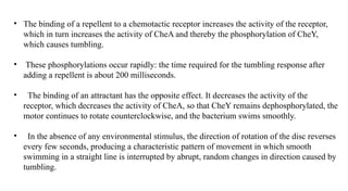 Two component signaling system in plants and bacteria | PPTX