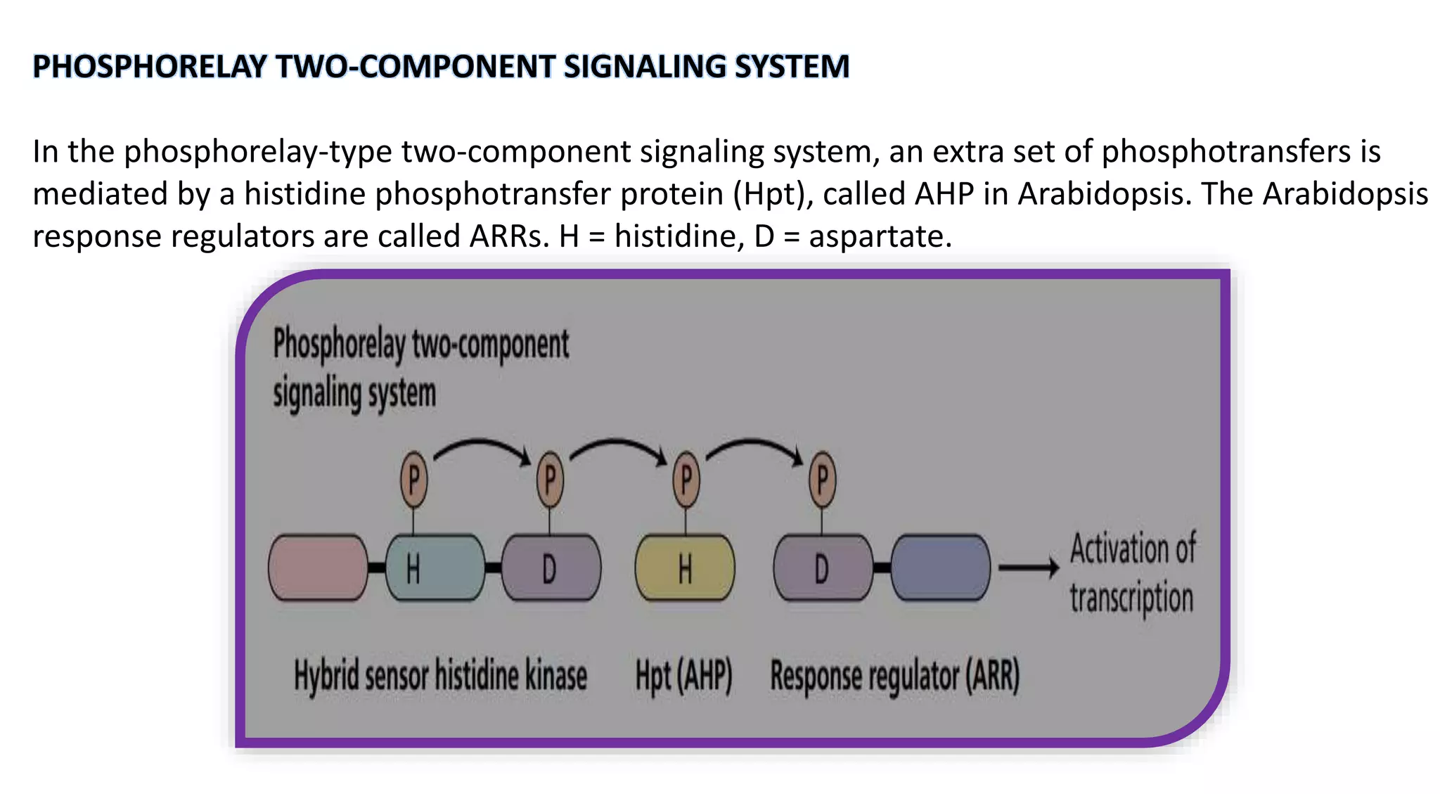 Two Component system.pptx
