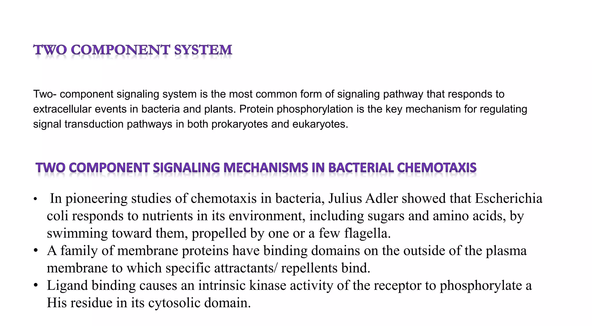 Two Component system.pptx