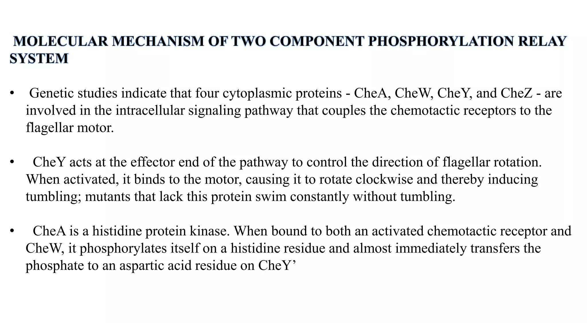 Two Component system.pptx