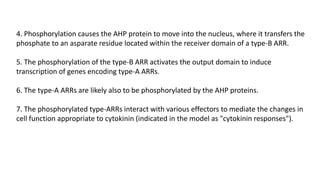 Two Component system.pptx