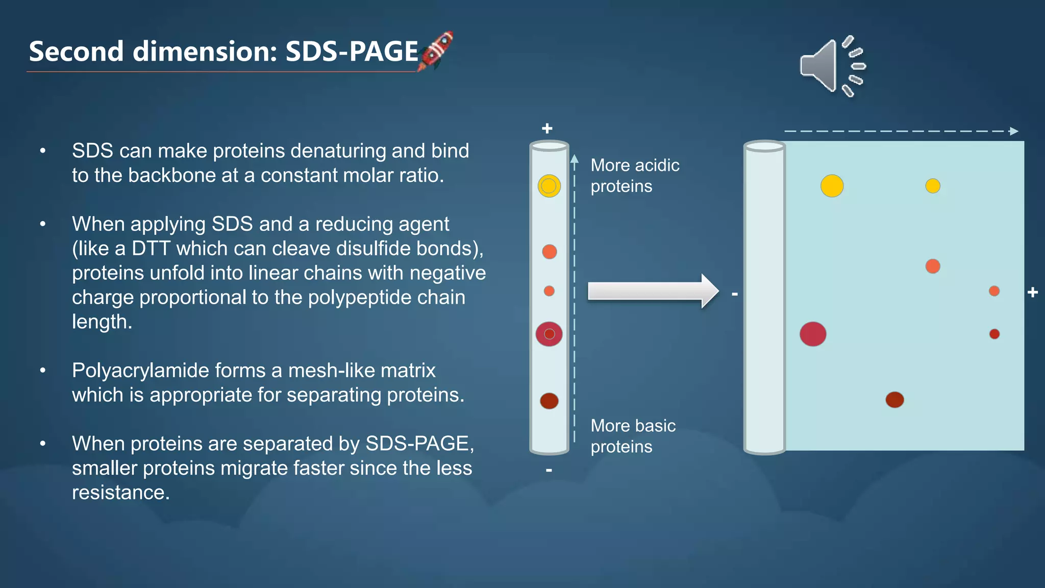 Two dimensional gel electrophoresis (2-DE) | PPTX