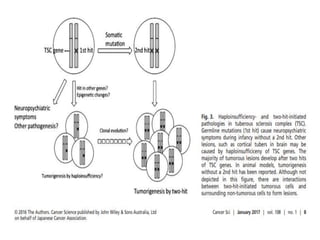 Two hits theory.pptx | Cancer | Diseases and Conditions