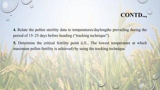 Two line breeding in RICE | PPTX