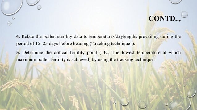 Two line breeding in RICE | PPTX | Infertility | Reproductive Health