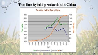 Two line breeding in RICE | PPTX