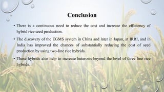 Two line breeding in RICE | PPTX