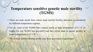 Two line breeding in RICE | PPTX