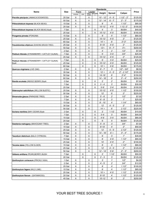 TreeWorld Wholesale Price List | PDF