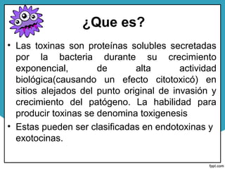 Toxigenicidad en bacterias | POT