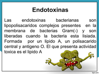 Toxigenicidad en bacterias | POT