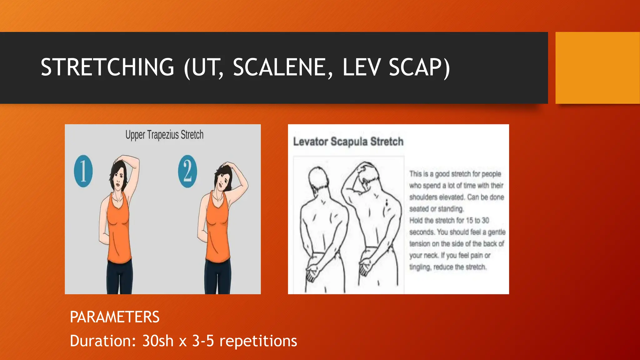 Thera Ex 3 - Lab 1 (Cervical Exercises). | PDF