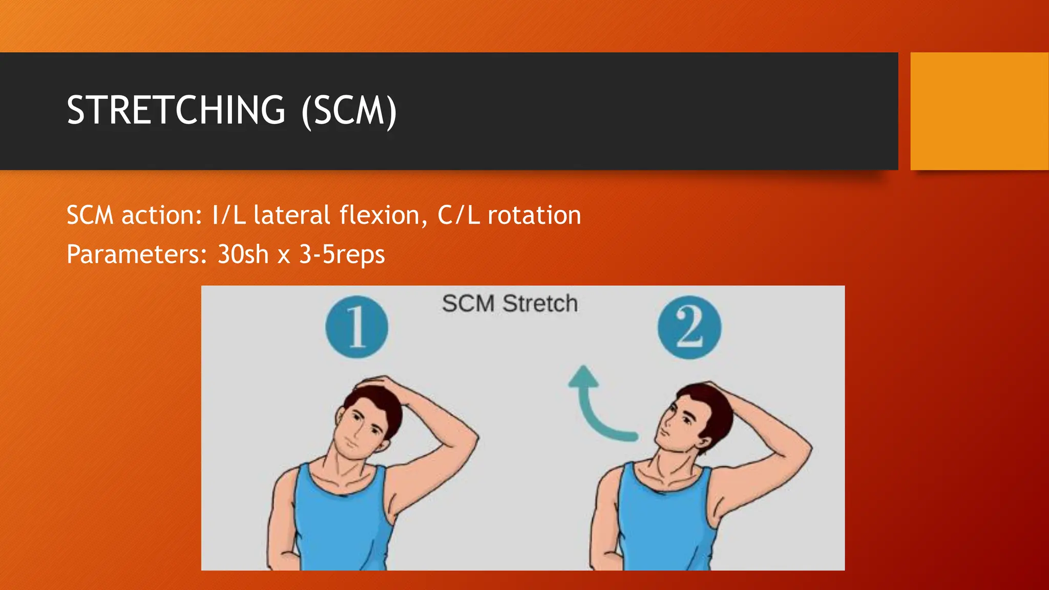 Thera Ex 3 - Lab 1 (Cervical Exercises). | PDF