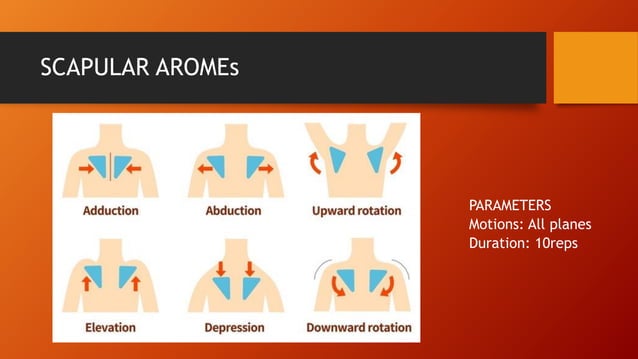 Thera Ex 3 - Lab 1 (Cervical Exercises). | PDF