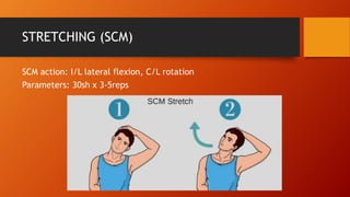 Thera Ex 3 - Lab 1 (Cervical Exercises). | PDF