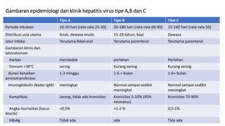Farmakoterapi Hepatitis A, B, C dan D ppt | PPT