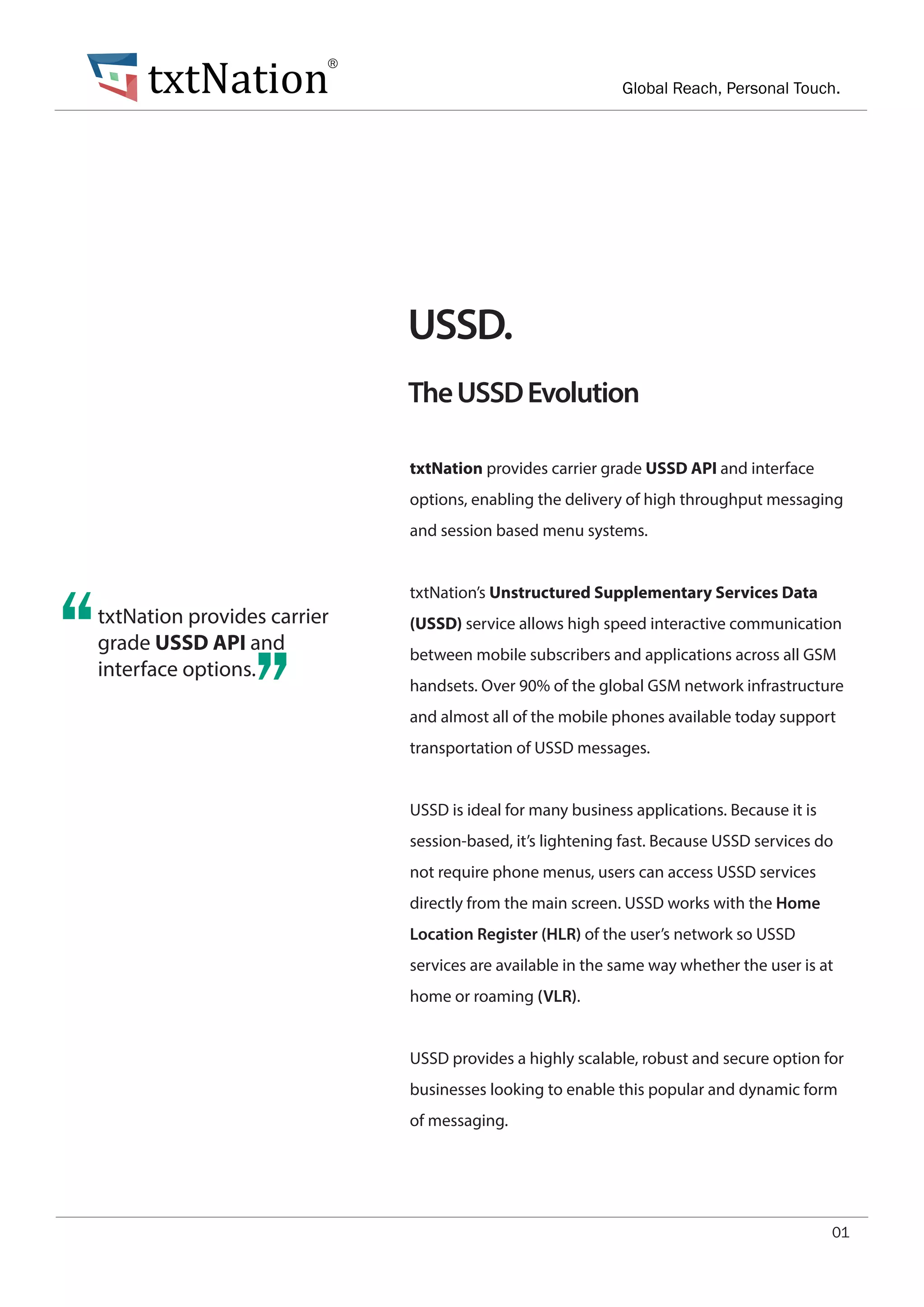 txtNation USSD Evolution | PDF