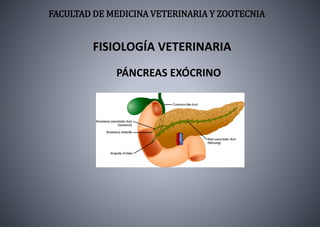 356309496-Fisiologia-Veterinaria-Pancreas-Exocrino.pdf