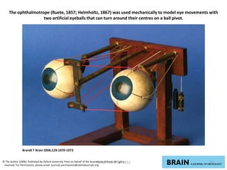 T,x,y,z og erkendelse | PPT