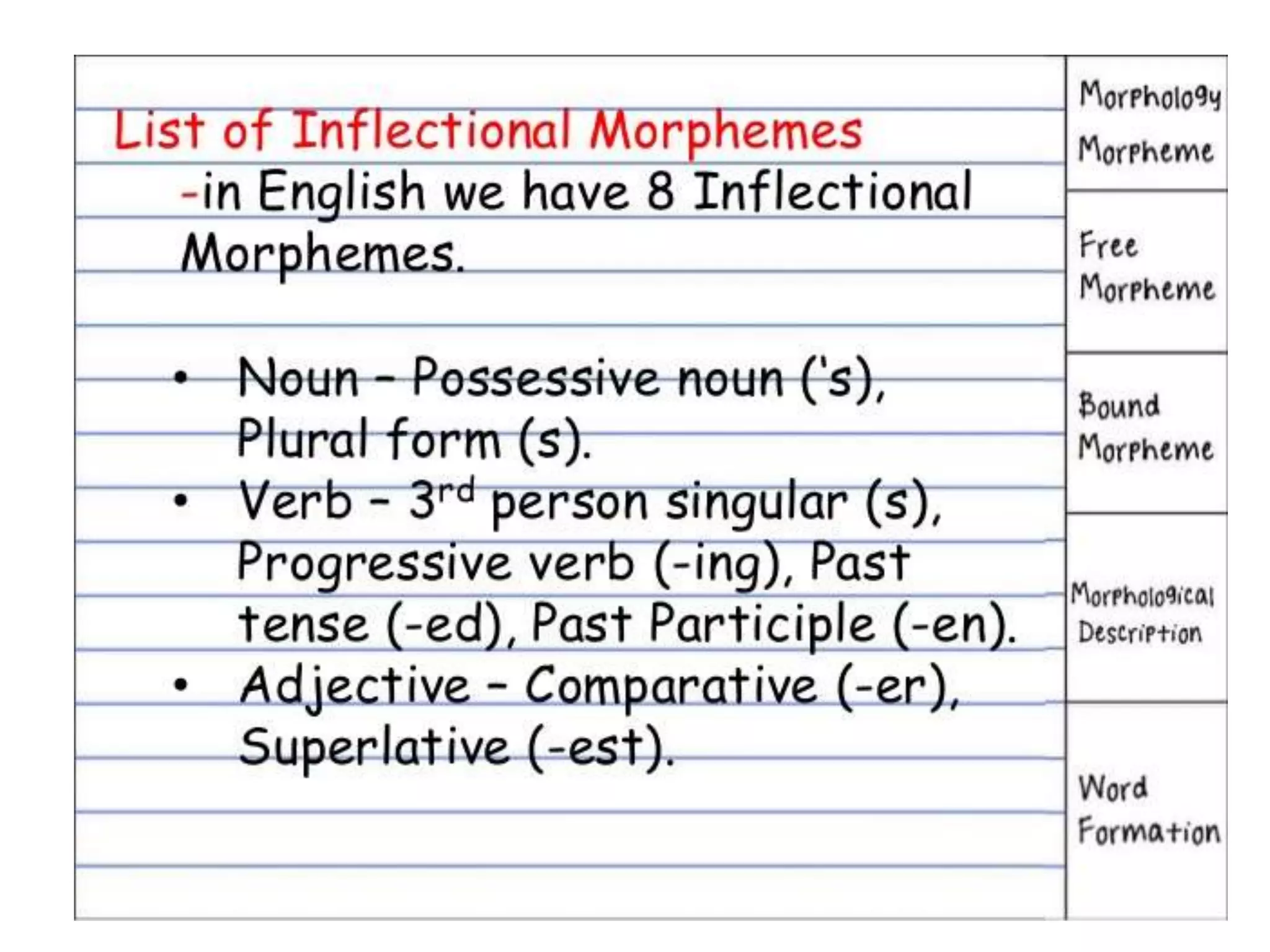 Morphology | PPT | Free Download