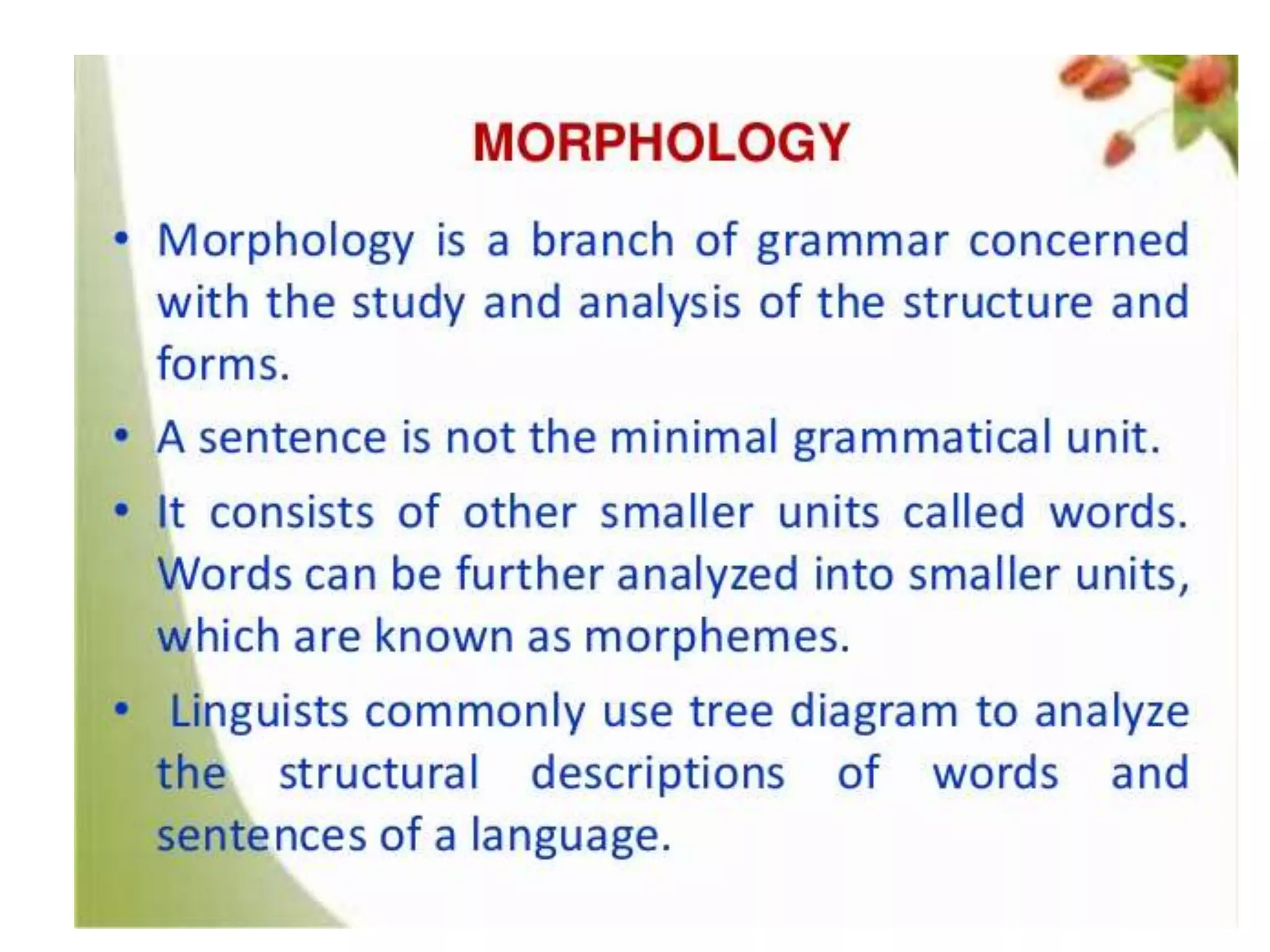Morphology | PPT