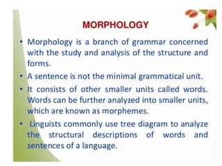 Morphology | PPT