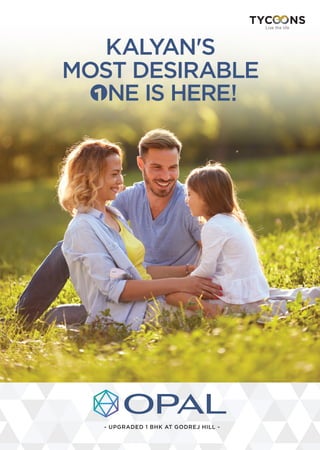 Tycoons-Opal-Brochure.pdf