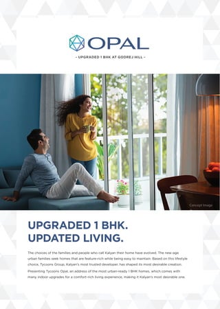 Tycoons-Opal-Brochure.pdf