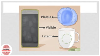 TYPES OF FINGERPRINT ---FORENSIC SCIENCE | PPTX
