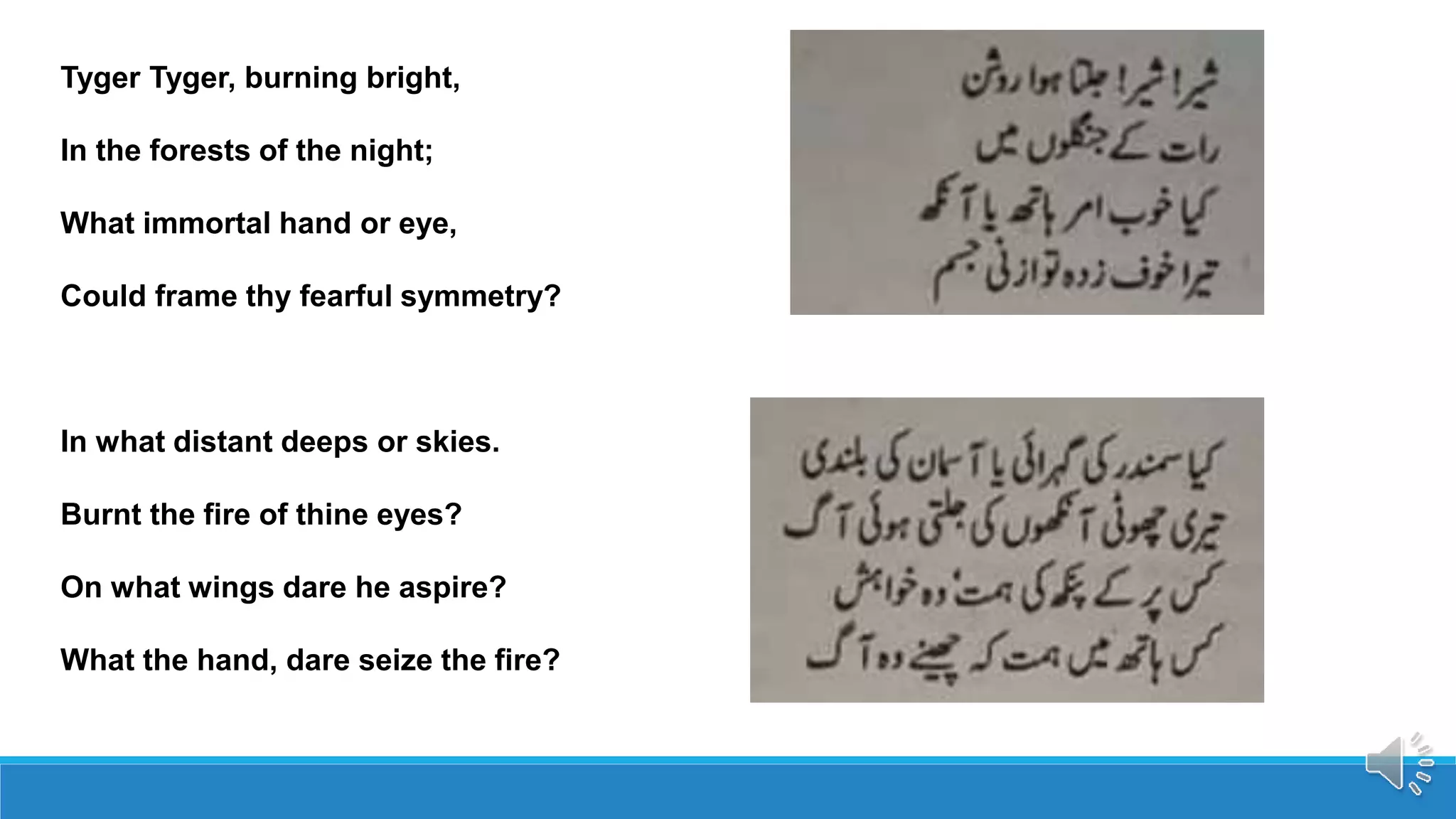 Tyger | PPTX | Poetry | Books and Literature