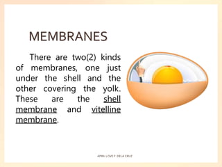 Q1-LESSON_1_LO2-EGG_STRUCTURE..ppt